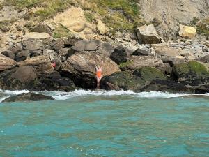 Swim Across America – Making Waves to Fight Cancer since 1987